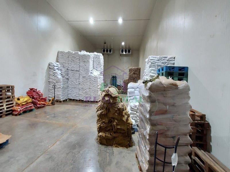 Warehouse for Rent in Dubai- 233+ Warehouse for Lease