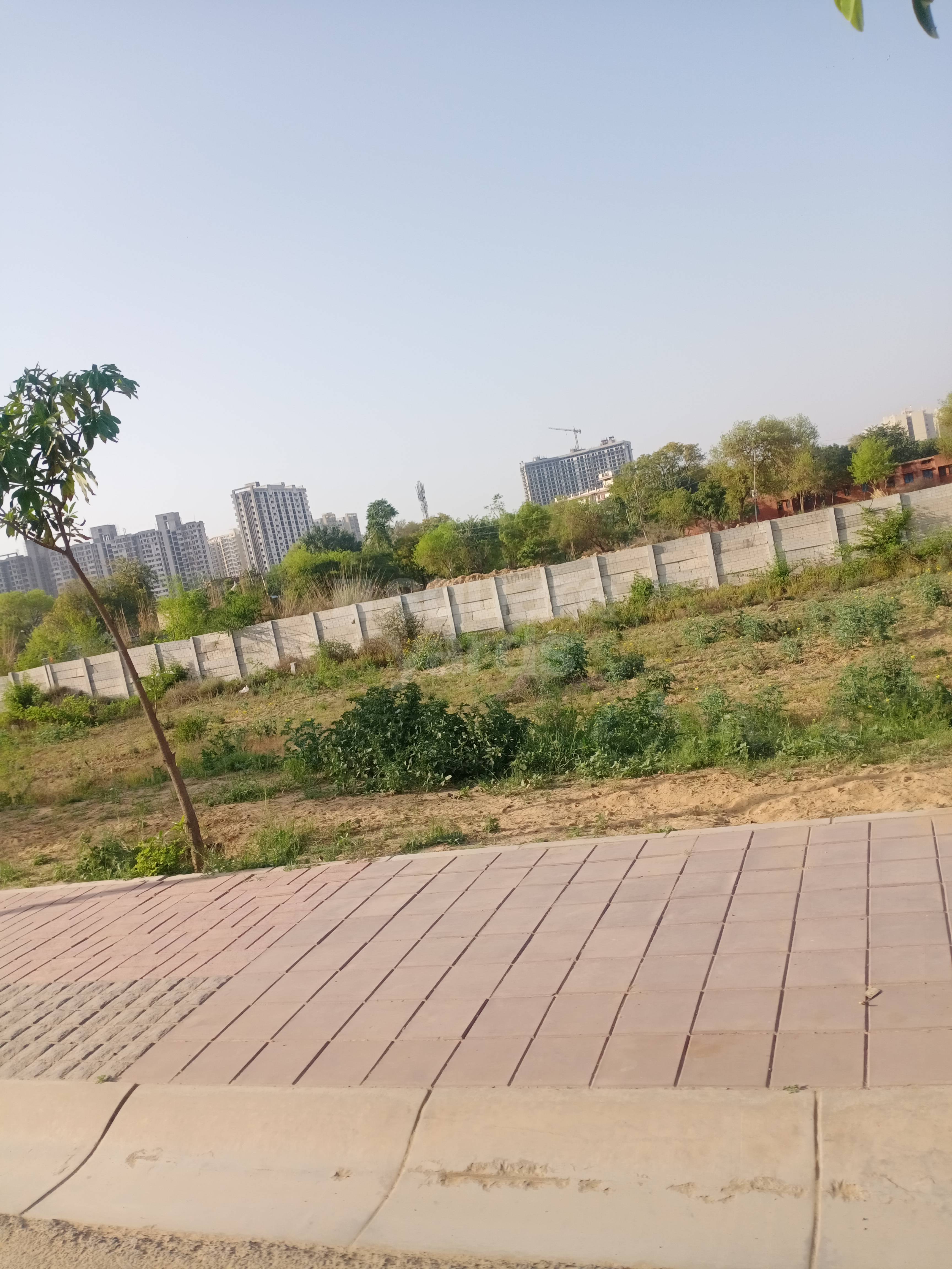 Resale 500 Sq Yd Plot In DLF Garden City Plots I Sector 91 Gurgaon resale-500-sq-yd-plot-in-dlf-garden-city-plots-i-sector-91-gurgaon