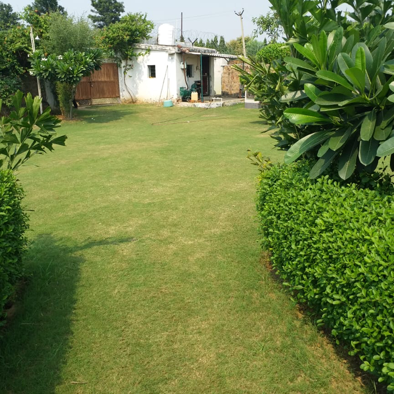 Resale 2 Acre Plot in Sohna Gurgaon - 4359290