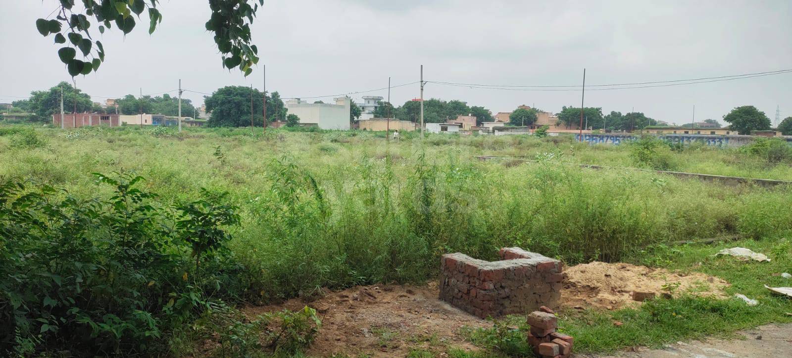 Resale 60 Sq.Mt. Plot in Noida Ext Sector 12 Greater Noida - 4469429