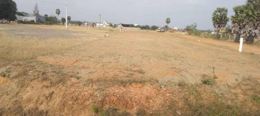 Resale 200 Sq.Mt. Plot in Sector 56 Noida - 4513275