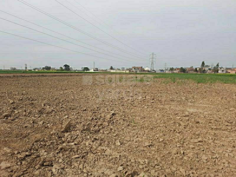 Resale 100 Sq.Yd. Plot in Banur Mohali - 5887726