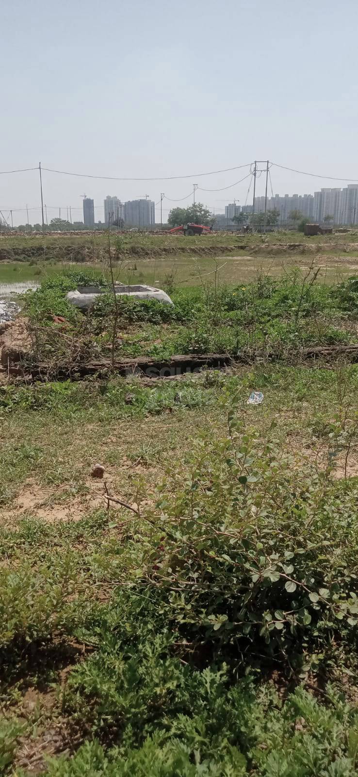 Resale 120 Sq.Mt. Plot in Noida Ext Sector 3 Greater Noida - 5275786
