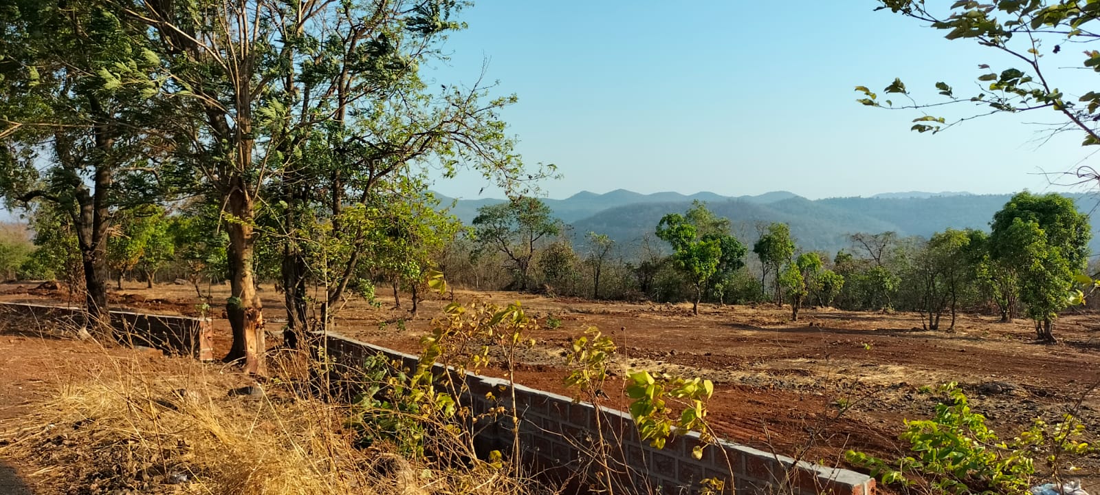 Resale 1000 Sq.Ft. Plot in Mangaon Raigad - 5304366