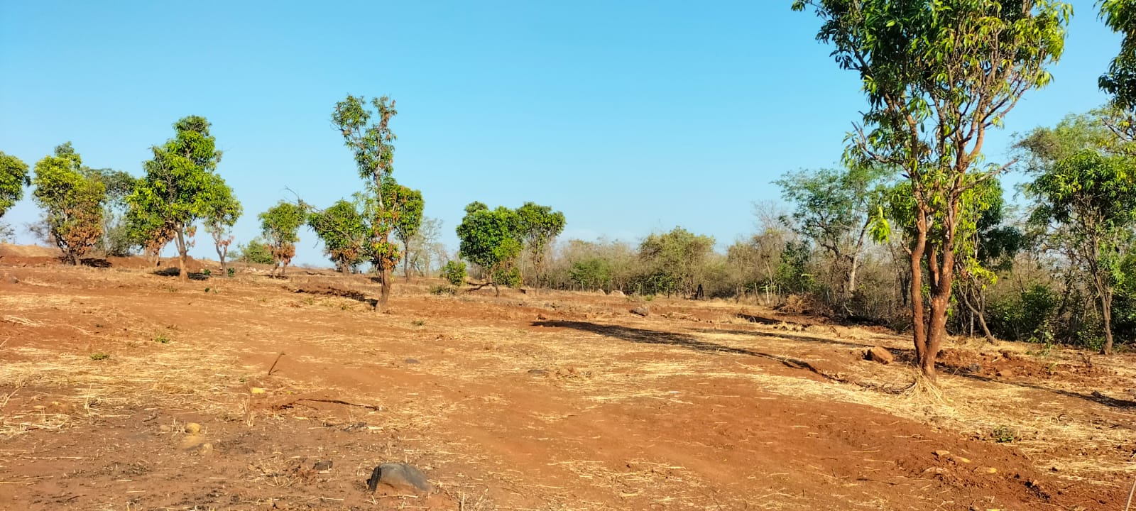 Resale 1000 Sq.Ft. Plot in Mangaon Raigad - 5334926