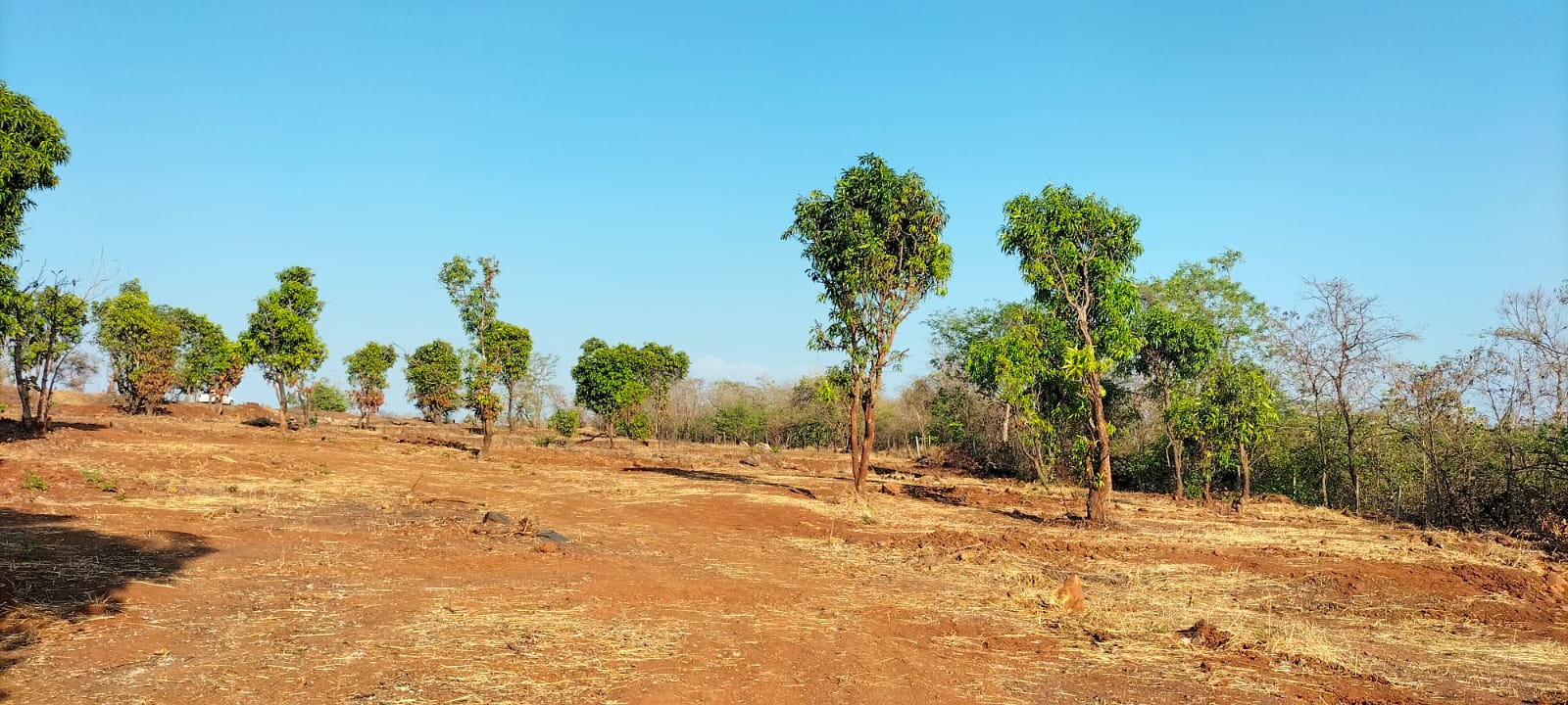 Resale 2000 Sq.Ft. Plot in Mangaon Raigad - 5389290
