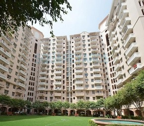 Rental 3 Bedroom 1376 Sq.Ft. Apartment in DLF The Wellington Estate ...