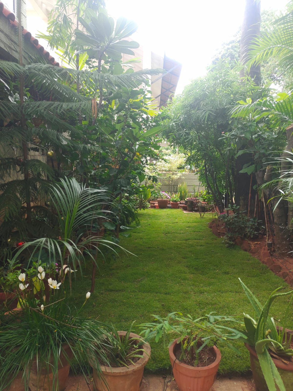 24+ 5 BHK Flats for sale near Oasis Centre Sony Signal Koramangla ...