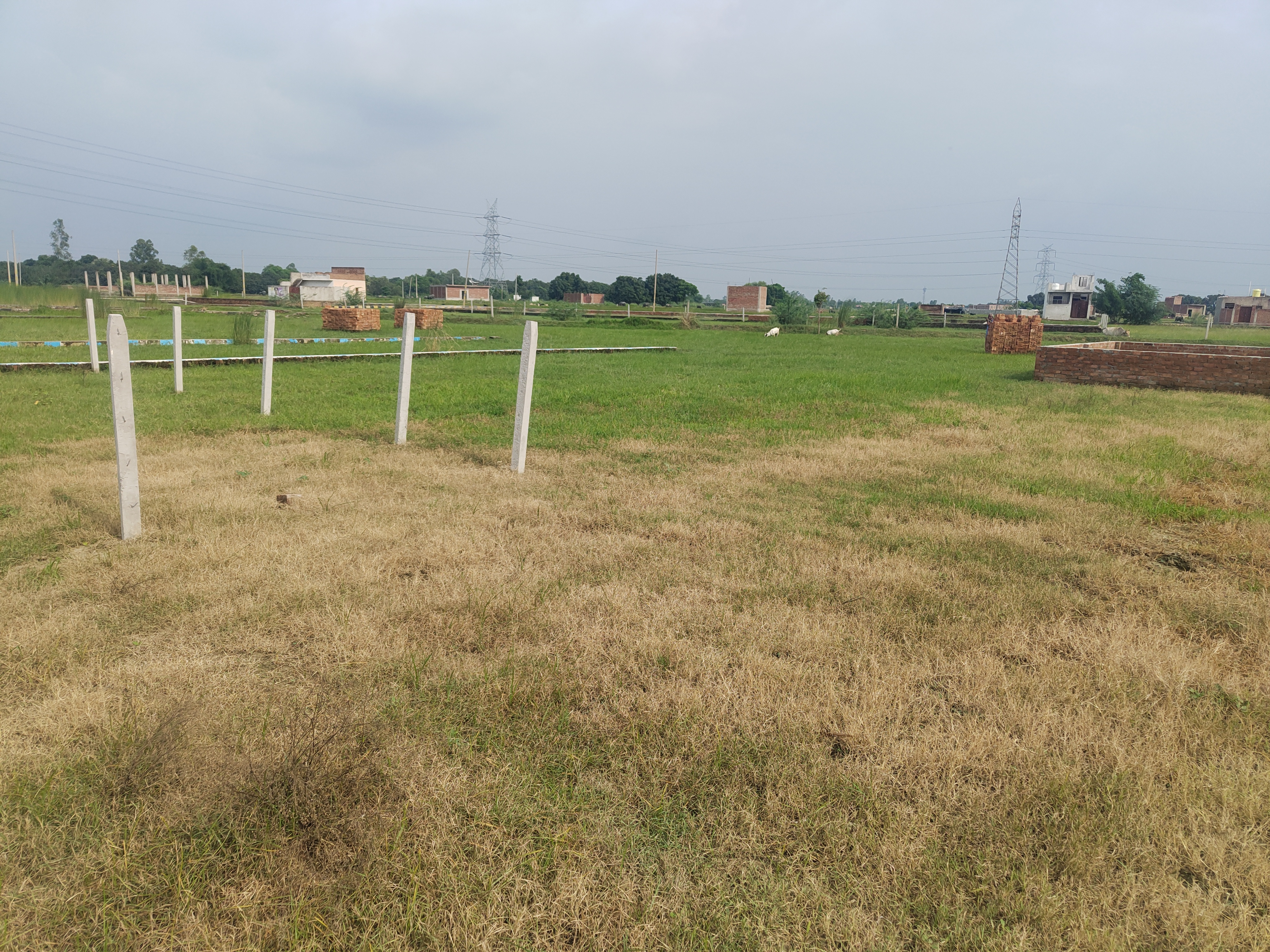 Resale 1200 Sq.Ft. Plot in Mohan Road Lucknow - 5756889