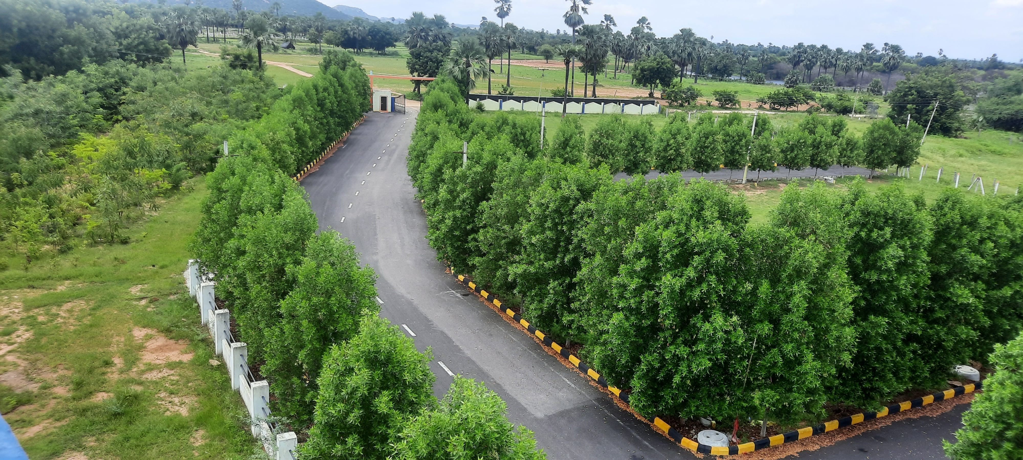 1724+ Properties for Sale Near Capal Bone Setting Centre Tarnaka ...