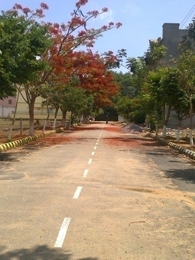 Resale 1400 Sq.Ft. Plot in JR Coco Nest, Marsur Bangalore - 5901145
