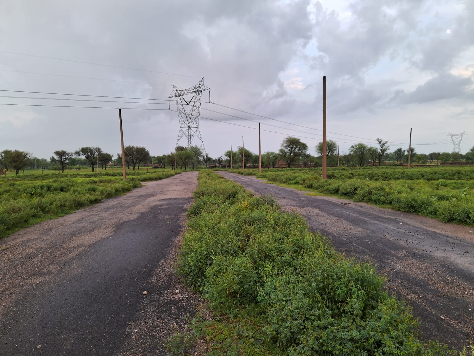 Resale 258 Sq.Yd. Plot in Ajmer Road Jaipur - 5911387