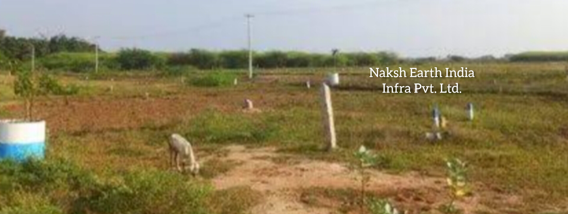 Resale 71000 Sq.Ft. Plot in Pen Navi Mumbai - 6094195