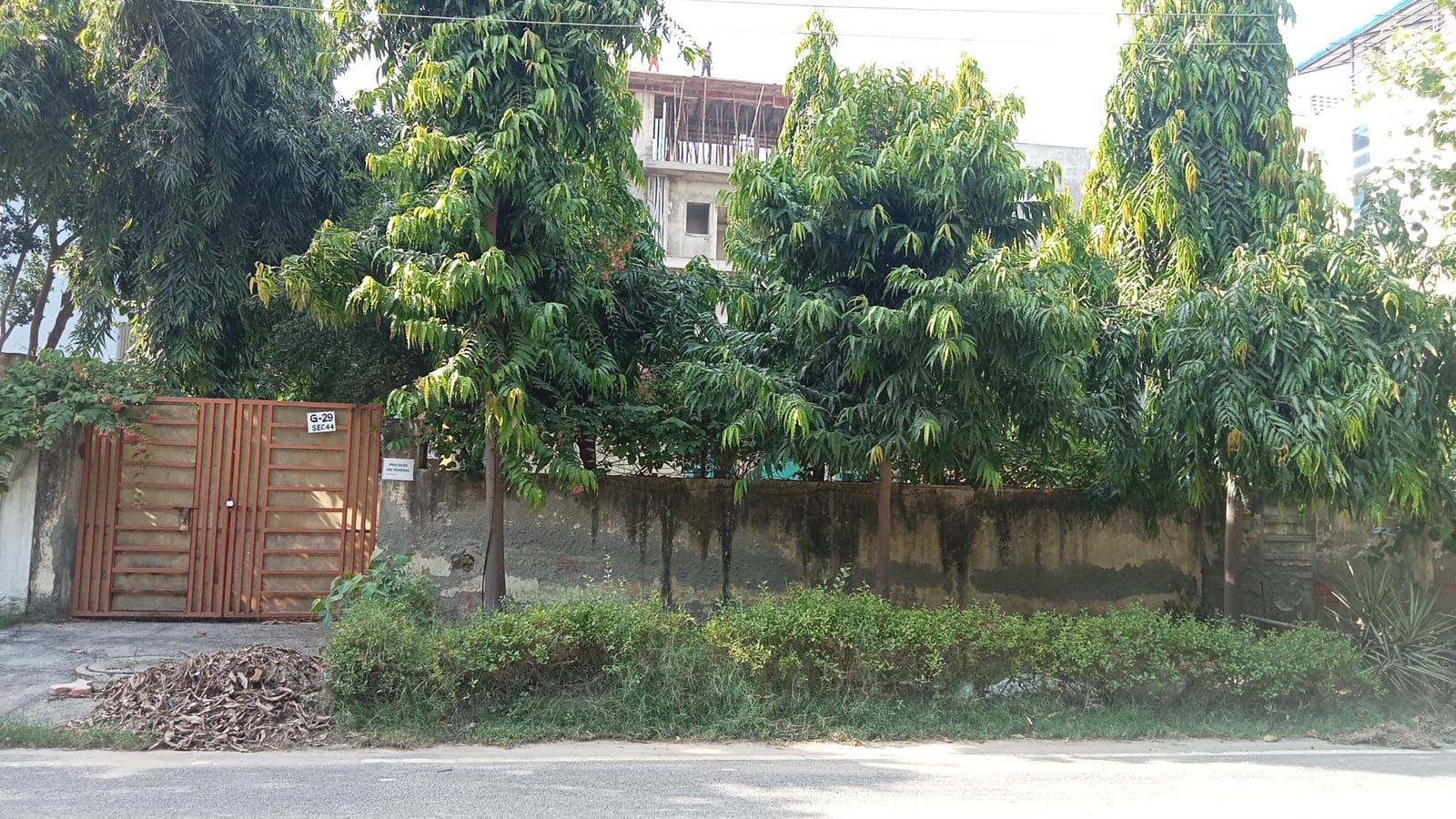 Resale 390 Sq.Mt. Plot in Sector 55 Noida - 6132810