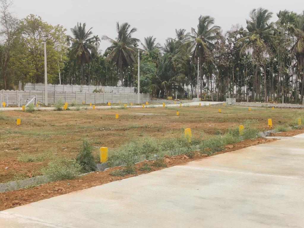 Resale 1033 Sq.Ft. Plot in Sondekoppa Bangalore - 6137246