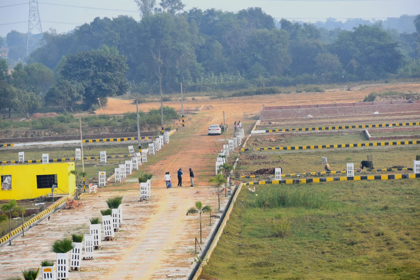 Resale Commercial Land 6000 Sq.Ft. in Kisan Path Lucknow - 6164793