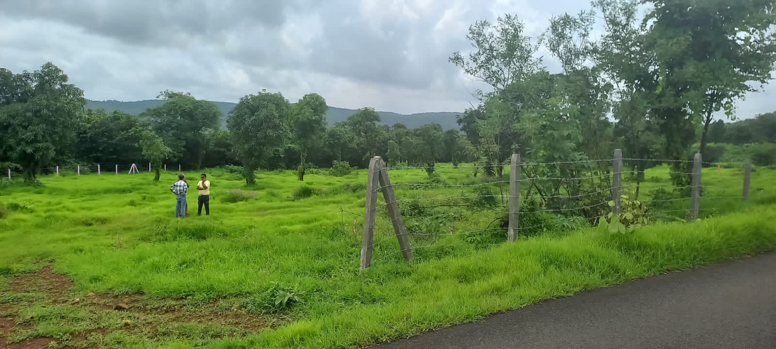 Resale 10000 Sq.Ft. Plot in Mangaon Raigad - 6377562