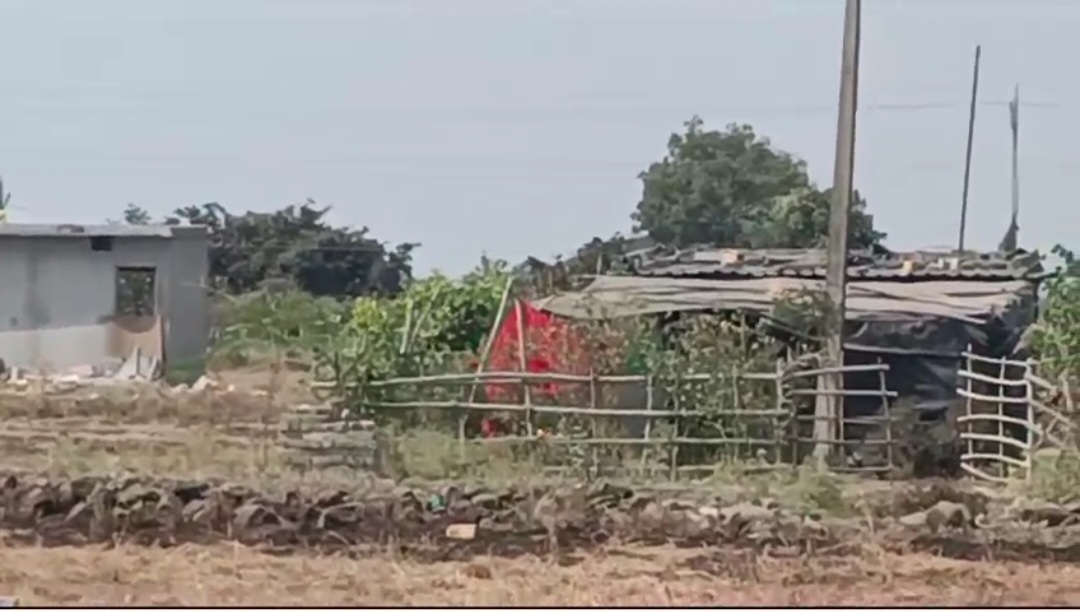 Resale 1000 Sq.Ft. Plot in Hanuman Nagar Nagpur - 6382229