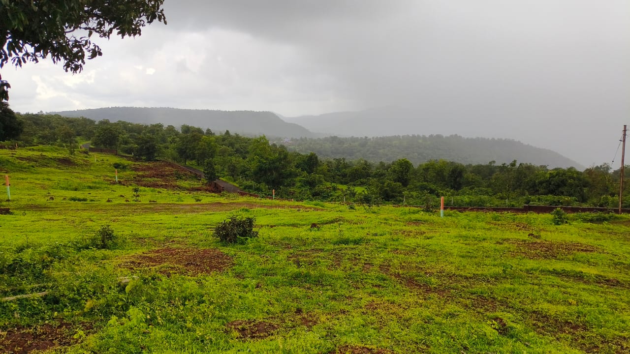Resale 10000 Sq.Ft. Plot in Mangaon Raigad - 6449836
