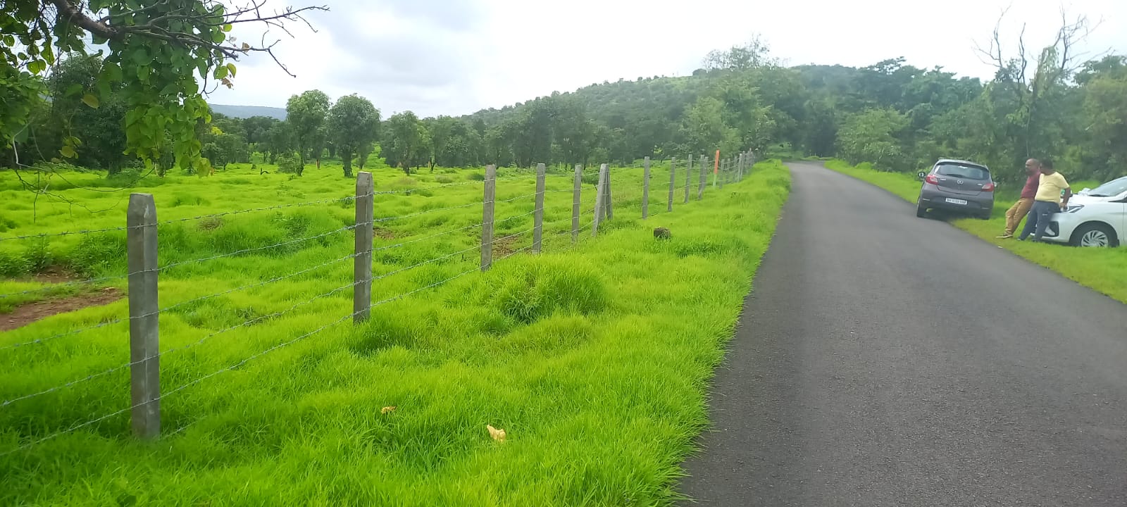 Resale 10000 Sq.Ft. Plot in Mangaon Raigad - 6481983