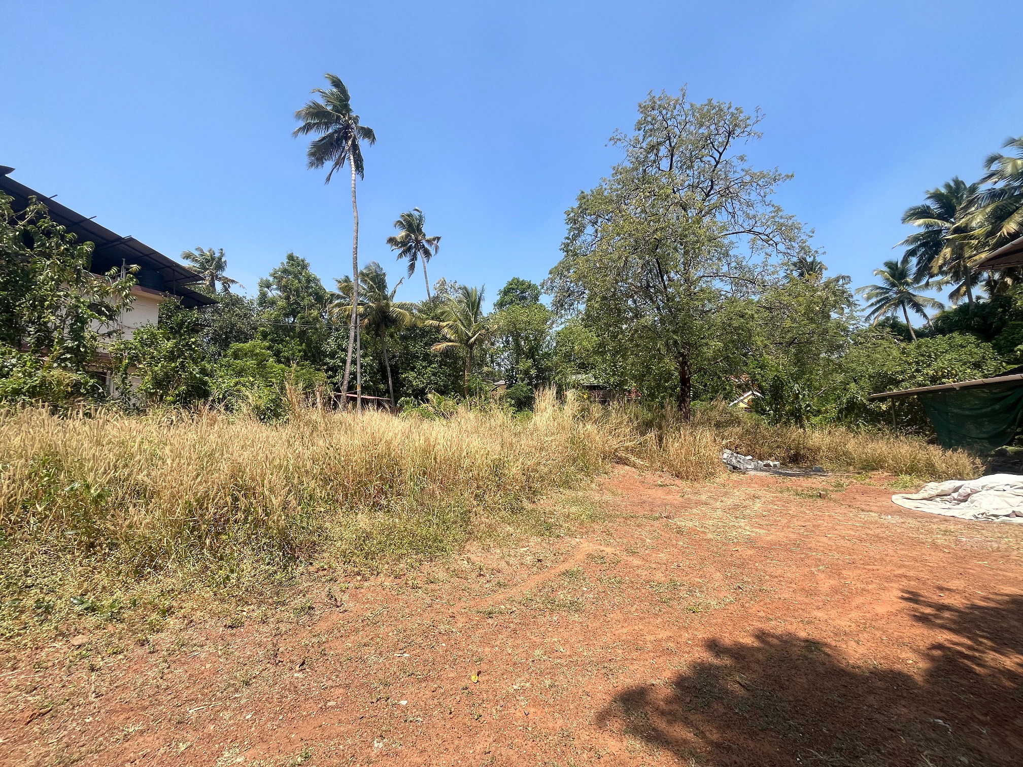 Resale 6 Acre Plot in Viyyur Thrissur - 6563834