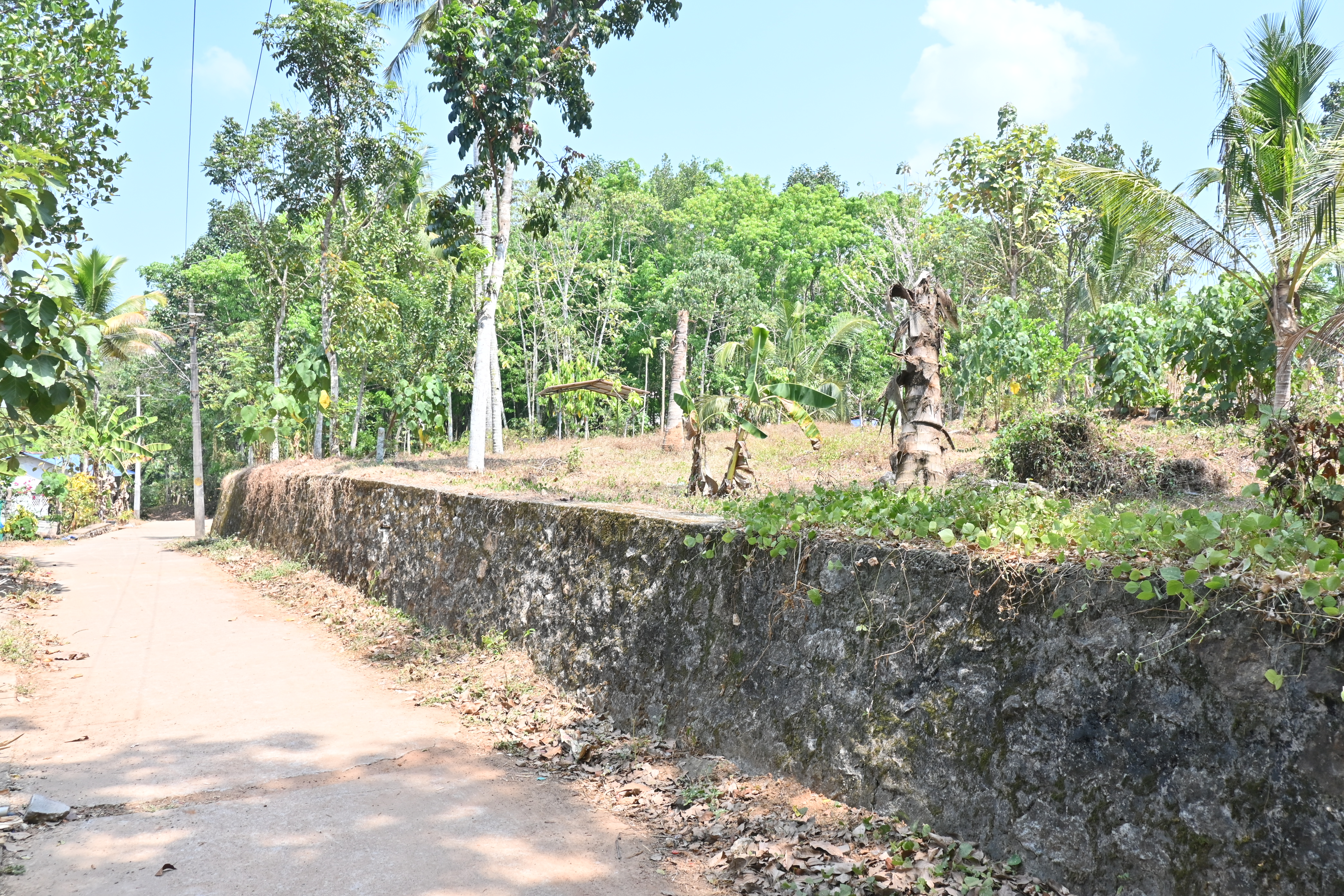 Resale 15225 Sq.Ft. Plot in Adoor Pathanamthitta - 6569059