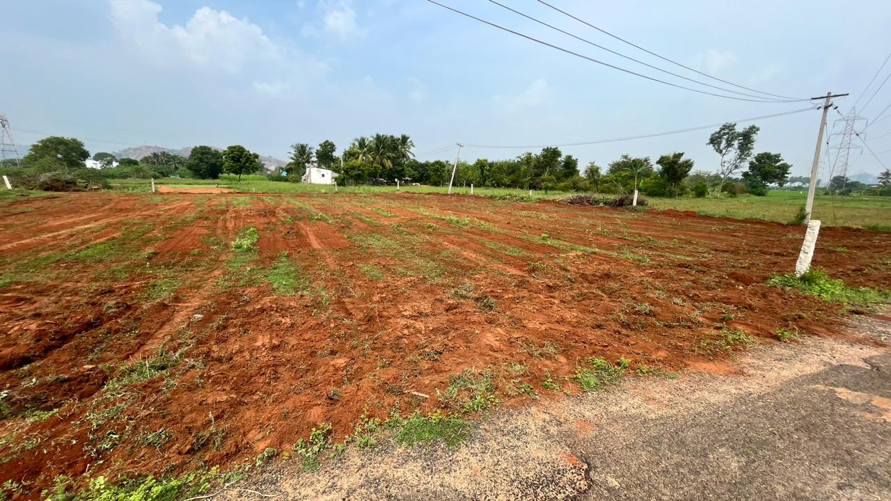 Resale 7840 Sq.Ft. Plot in Thirunagar Madurai - 6626508