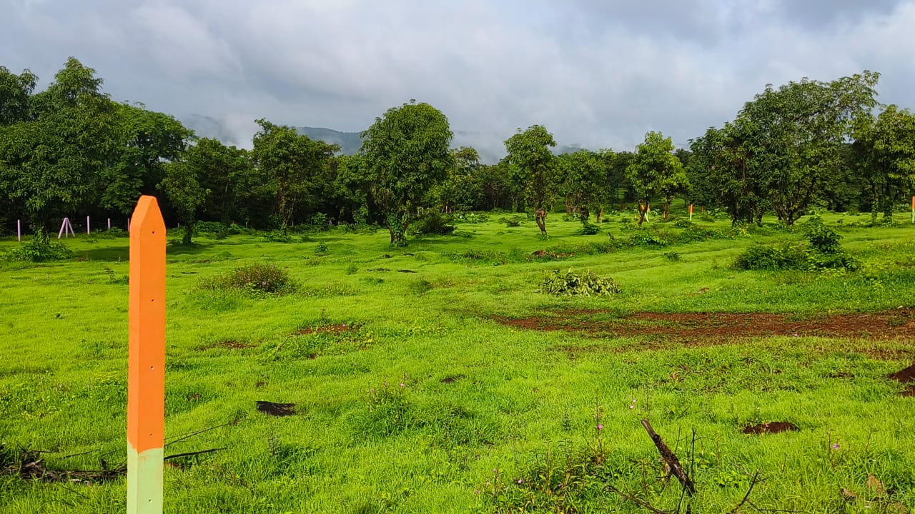 Resale 10000 Sq.Ft. Plot in Mangaon Raigad - 6628753