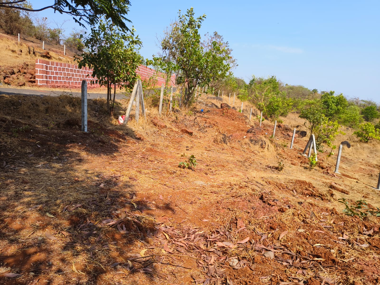 Resale 10000 Sq.Ft. Plot in Mangaon Raigad - 6670343