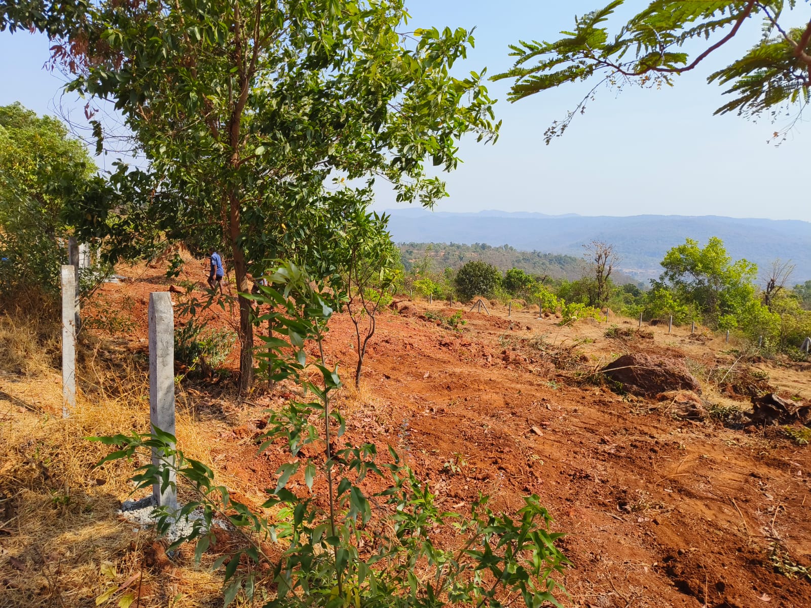 Resale 10000 Sq.Ft. Plot in Mangaon Raigad - 6699702