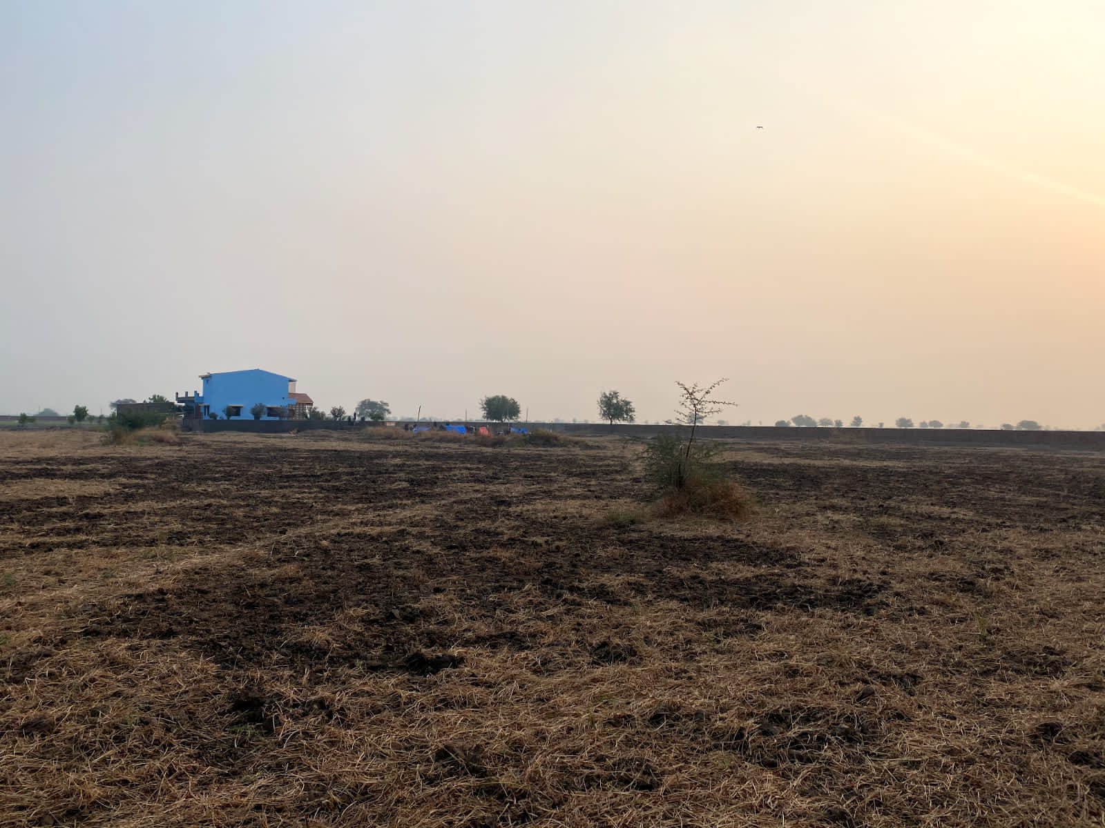 Resale 1289 Sq.Ft. Plot in Chinhat Lucknow - 6898125