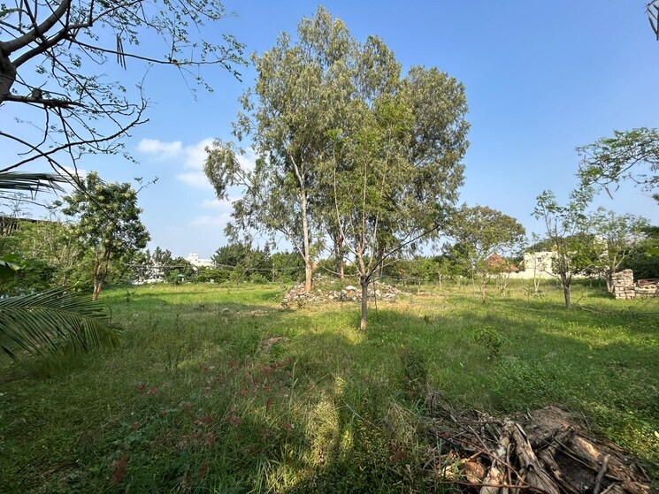 Resale 26700 Sq.Ft. Plot in Reliable Lake Dew Residency, Haralur Road ...