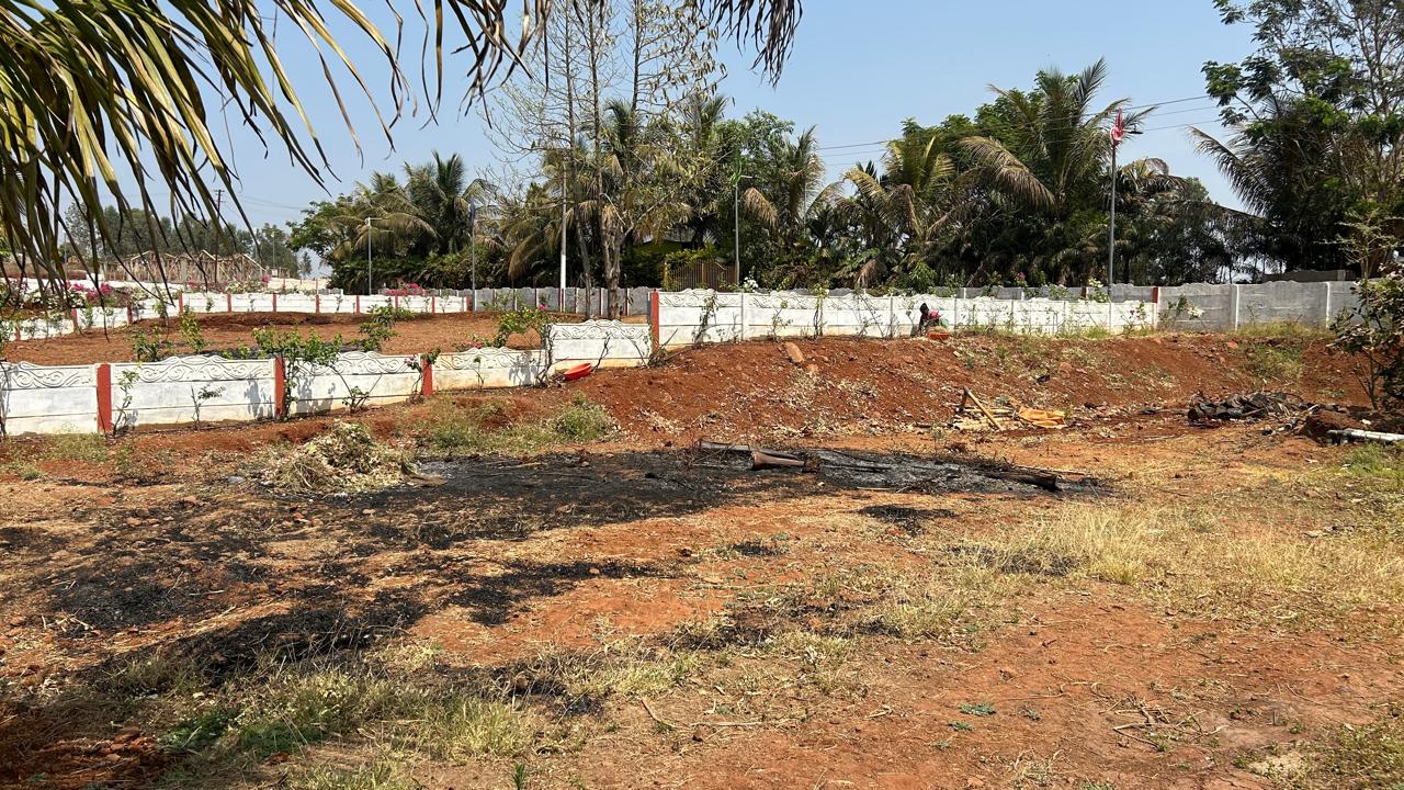 Resale 2000 Sq.Ft. Plot in Nande Pune - 7124242