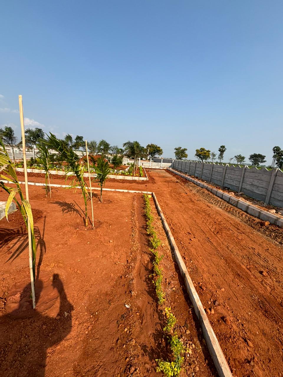 Resale 250 Sq.Yd. Plot in Kankipadu Vijayawada - 7194209