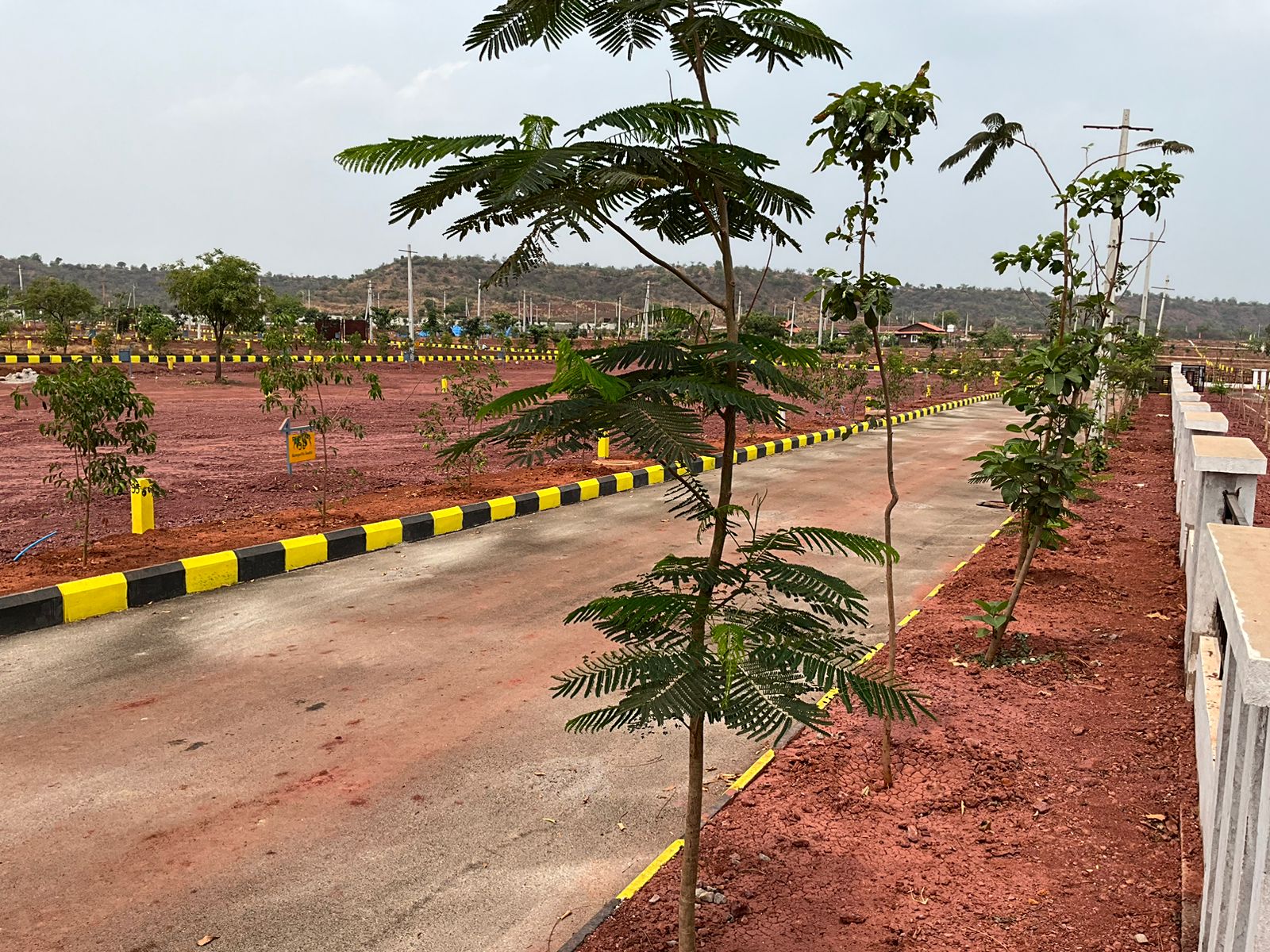 Resale 200 Sq.Yd. Plot in Kamkole Hyderabad - 7278727