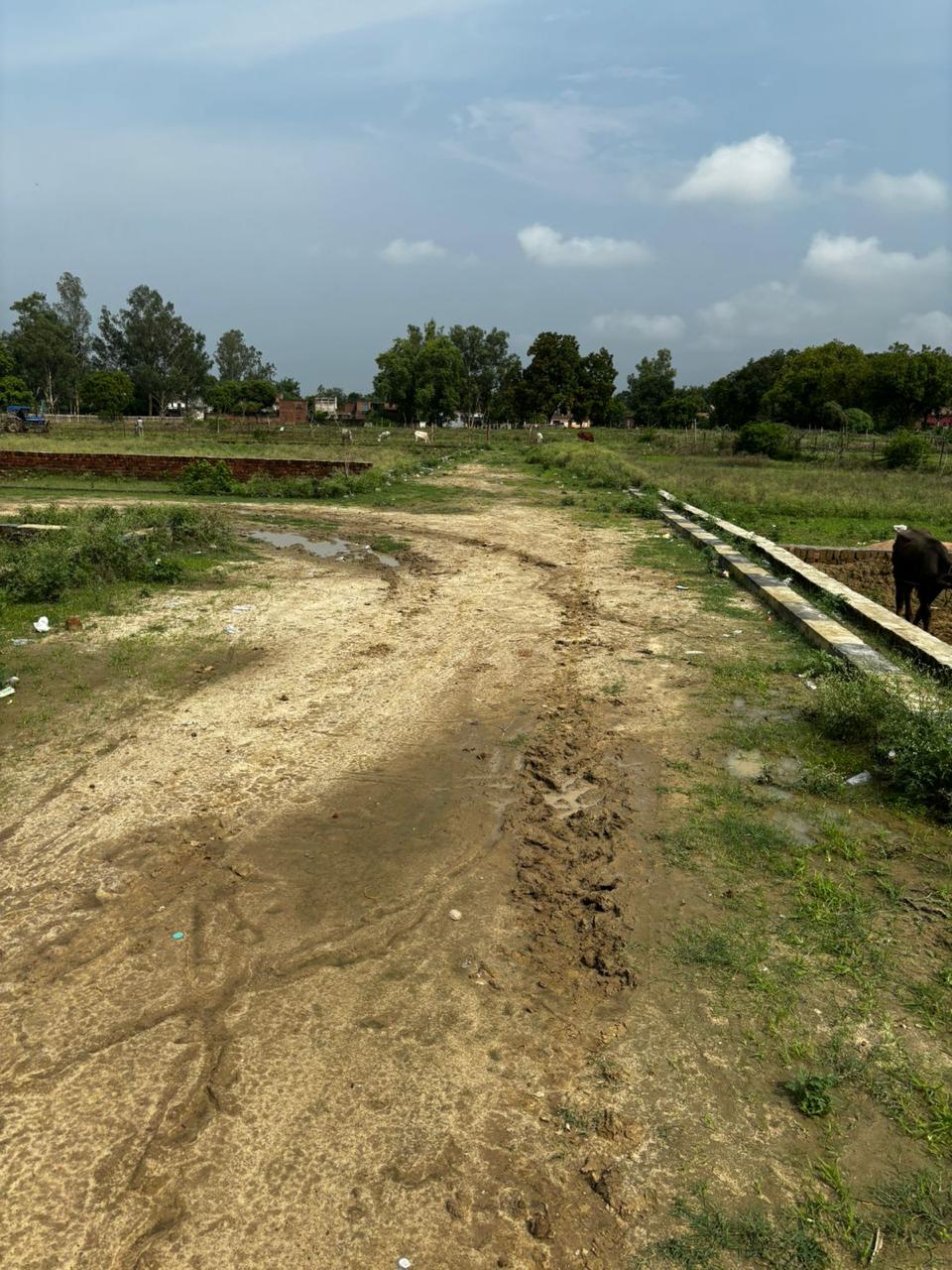Resale 1000 Sq.Ft. Plot in Wazirganj Lucknow - 7298301