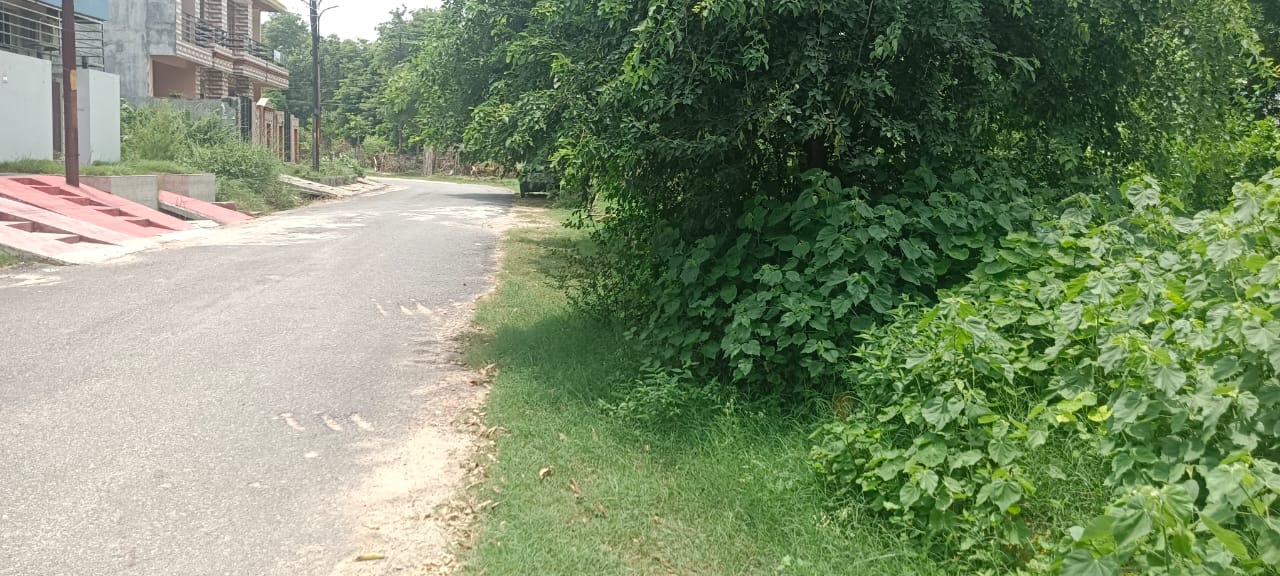 Resale 1312 Sq.Ft. Plot in Wazirganj Lucknow - 7332758