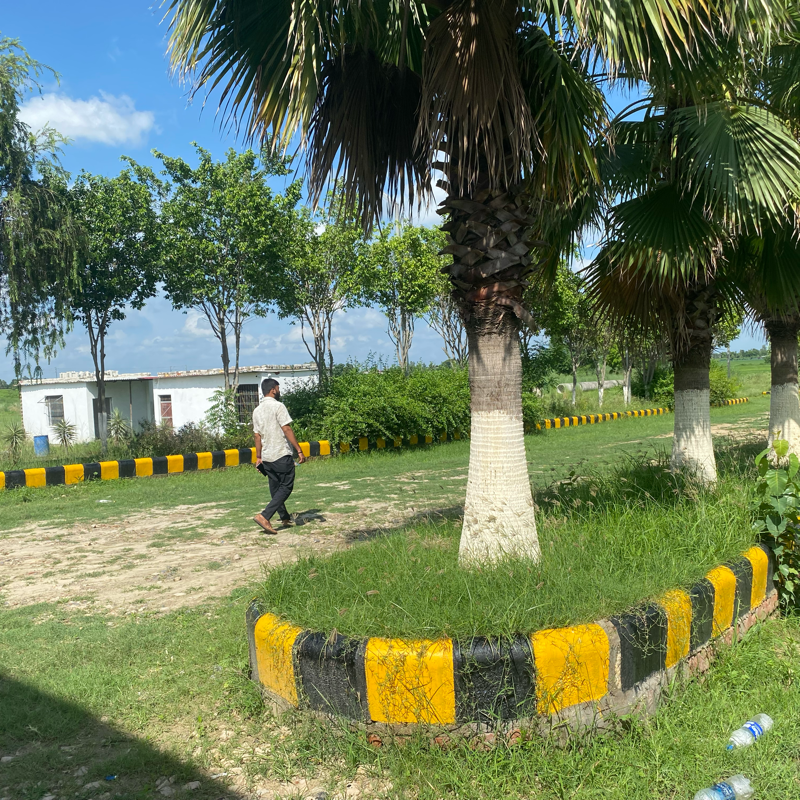 Resale 1500 Sq.Ft. Plot in Kisan Path Lucknow - 7385561