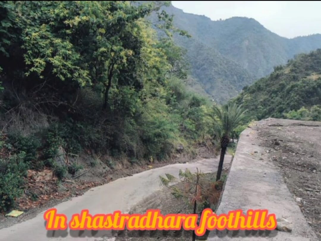 Resale 266 Sq.Yd. Plot in Sahastradhara Dehradun - 7406914