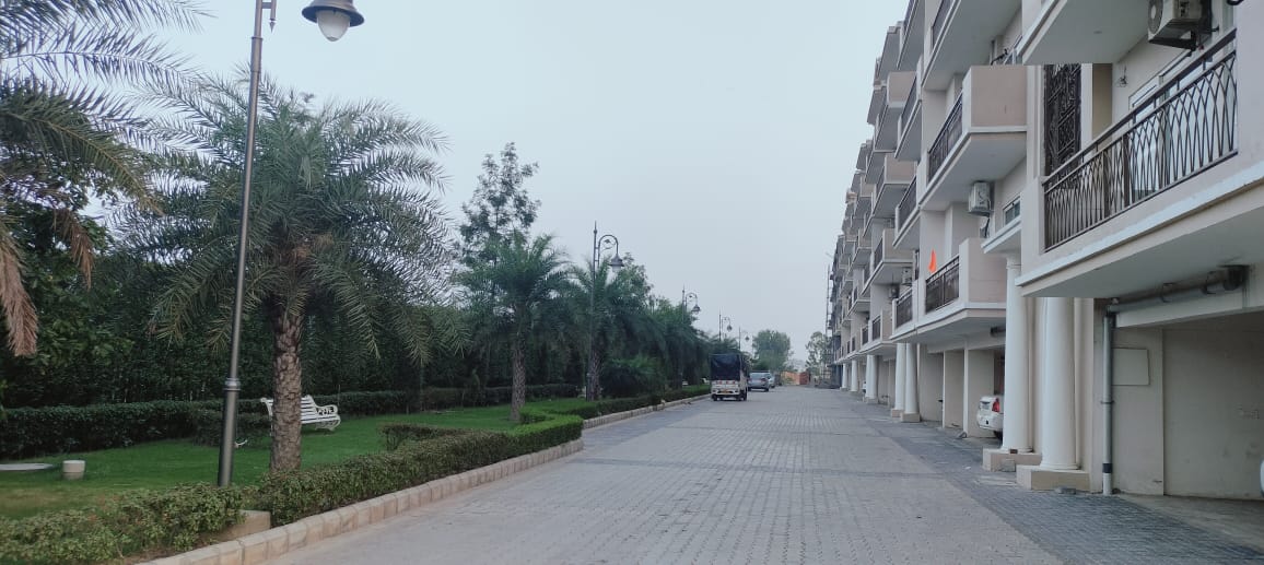 Resale 3 Bedroom 202 Sq.Yd. Builder Floor in Vip Road Zirakpur - 7556873