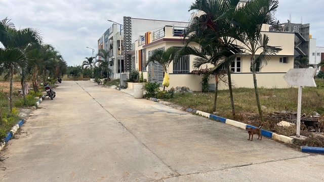 Resale 2400 Sq.Ft. Plot in Sampangi Rama Nagar Bangalore - 7630814