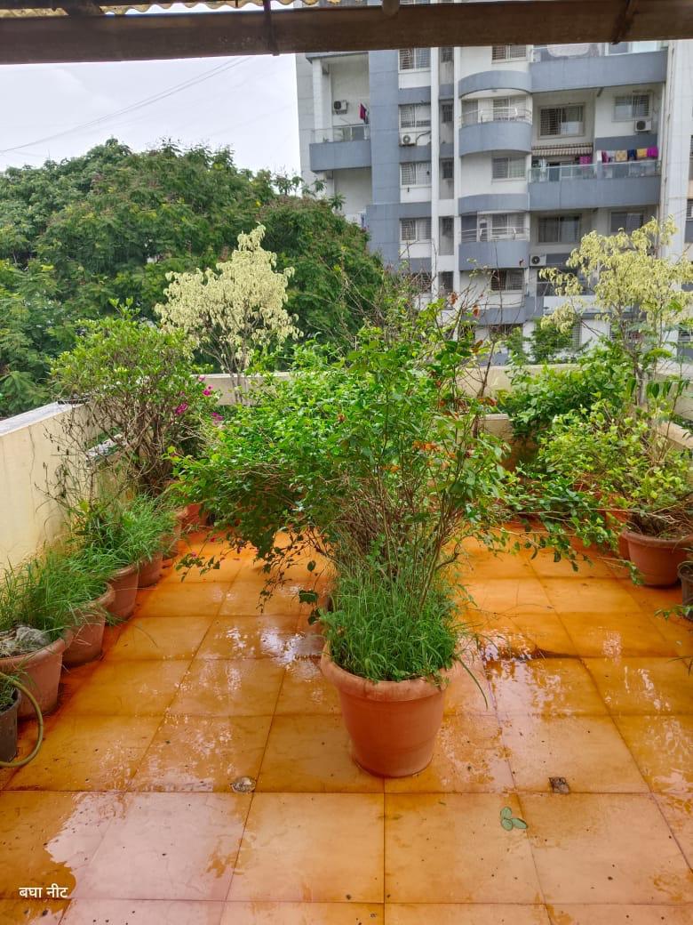 Rental 3 Bedroom 1219 Sq.Ft. Apartment in Saket Delhi - 7633374