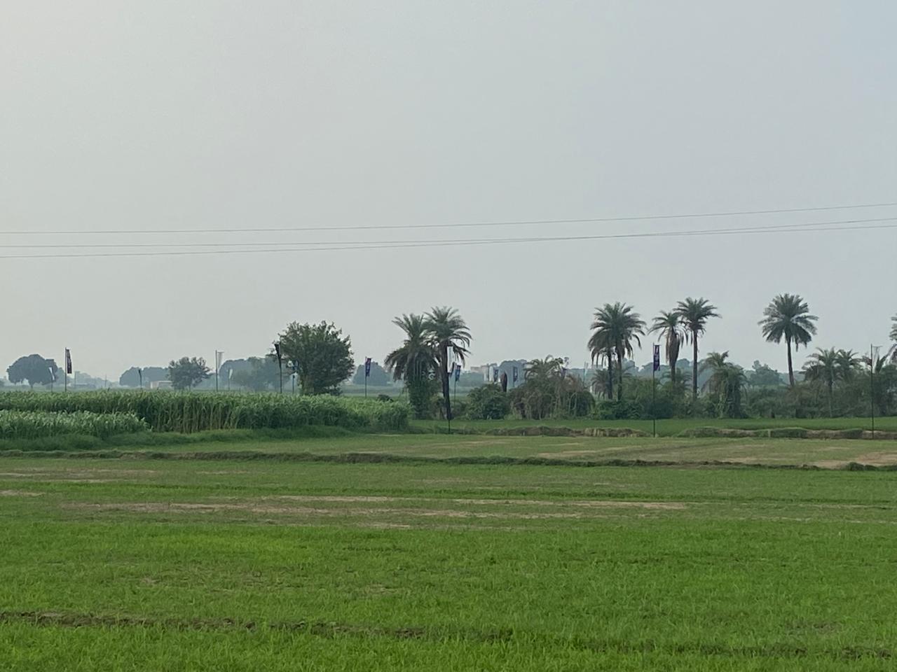 Resale Commercial Industrial Plot 500 Sq.Yd. in Banur Mohali - 7640466