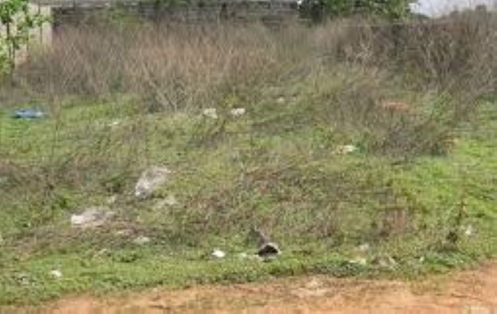 Resale 1800 Sq.Ft. Plot in Daliganj Lucknow - 7649435