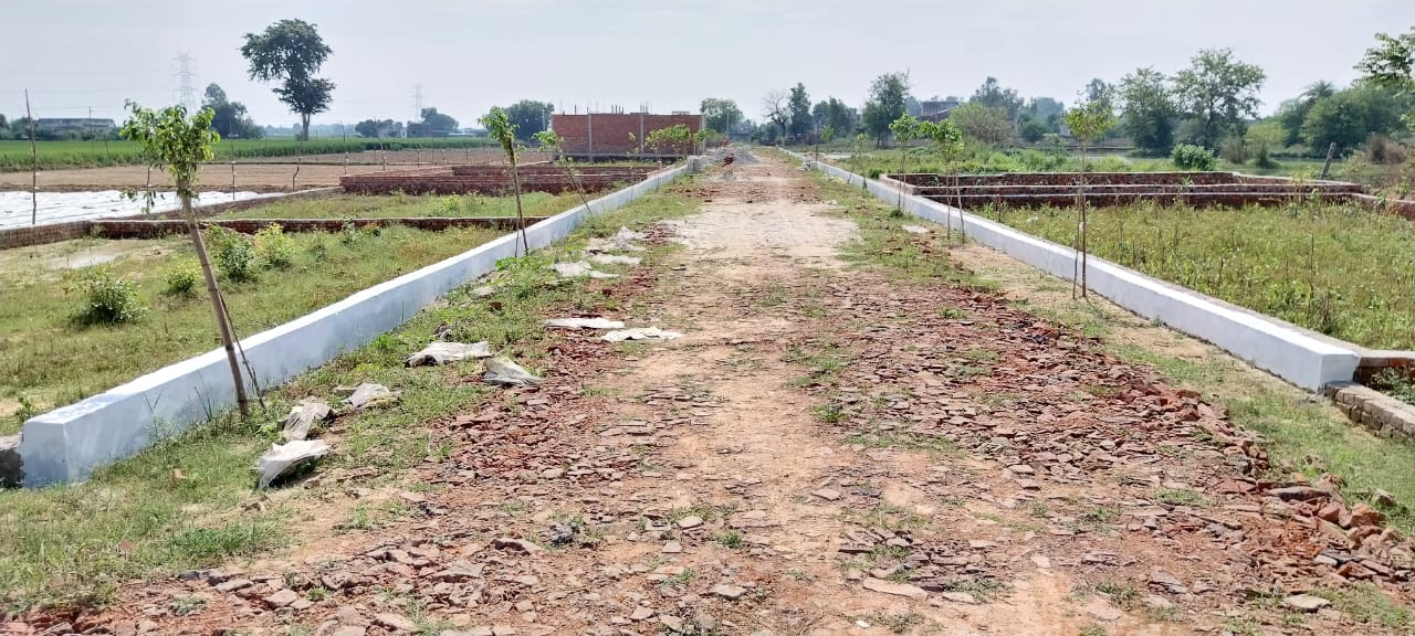 Resale 1000 Sq.Ft. Plot in Chinhat Lucknow - 7716965