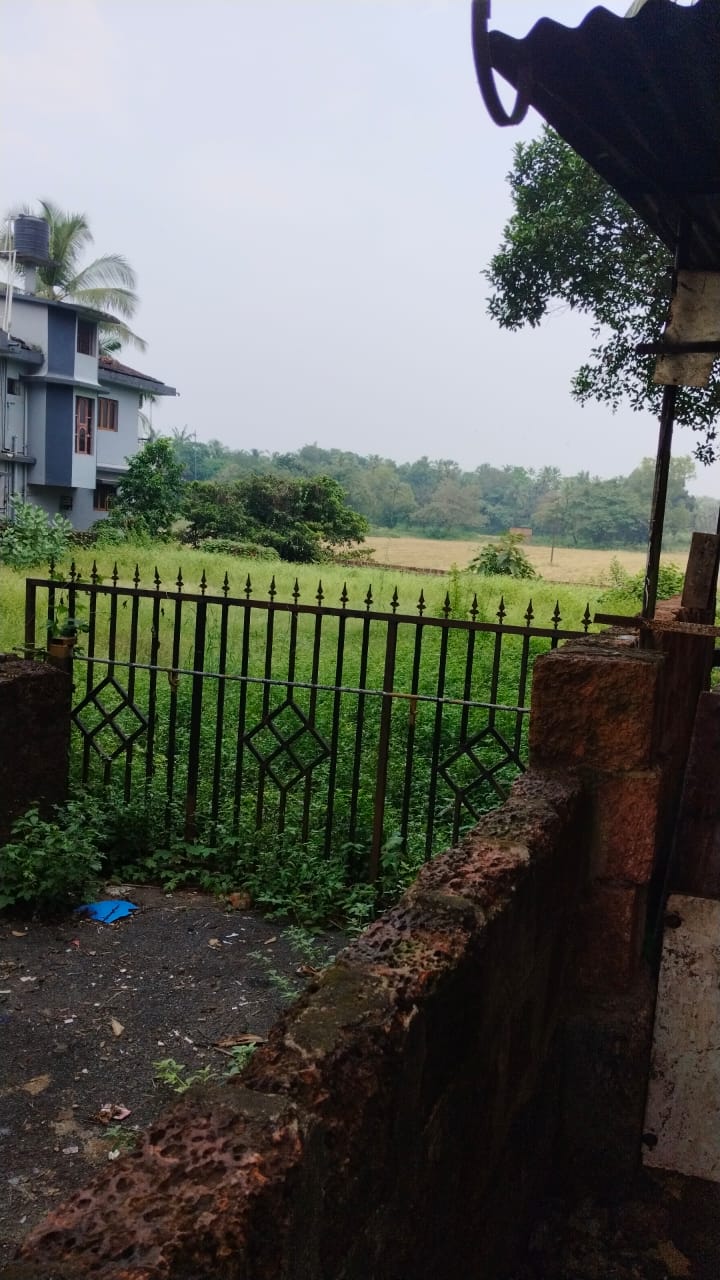 Resale 970 Sq.Mt. Plot in Navelim Goa - 7773660