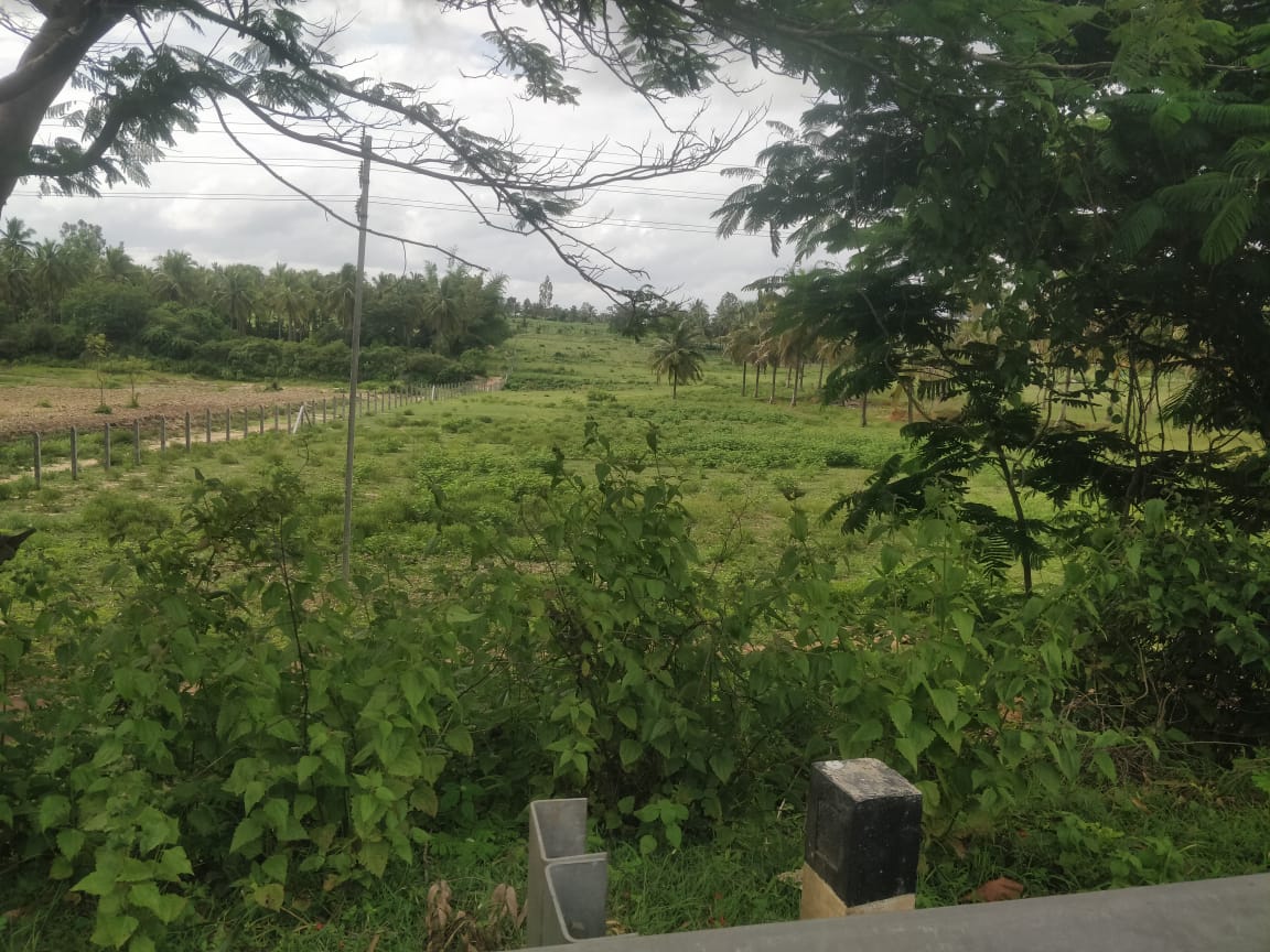 Resale 10000 Sq.Ft. Plot in Nagashetty Halli Bangalore - 7829856