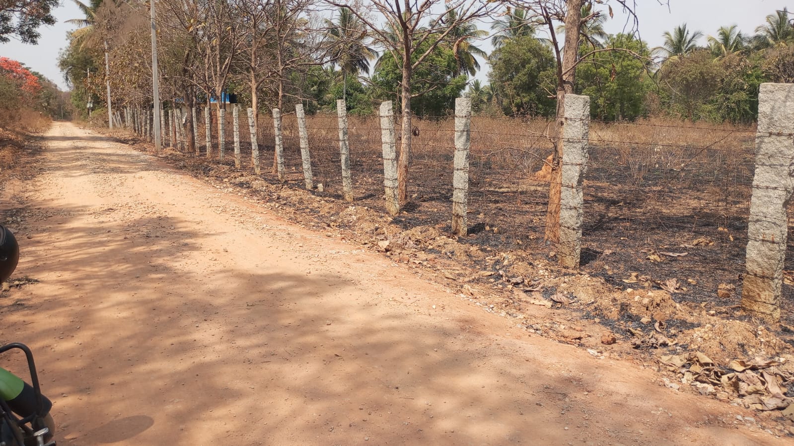 Resale 2800 Sq.Ft. Plot in Kothanur Bangalore - 7848451