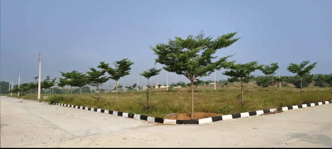 Resale 267 Sq.Yd. Plot in Pedda Amberpet Hyderabad - 7868521