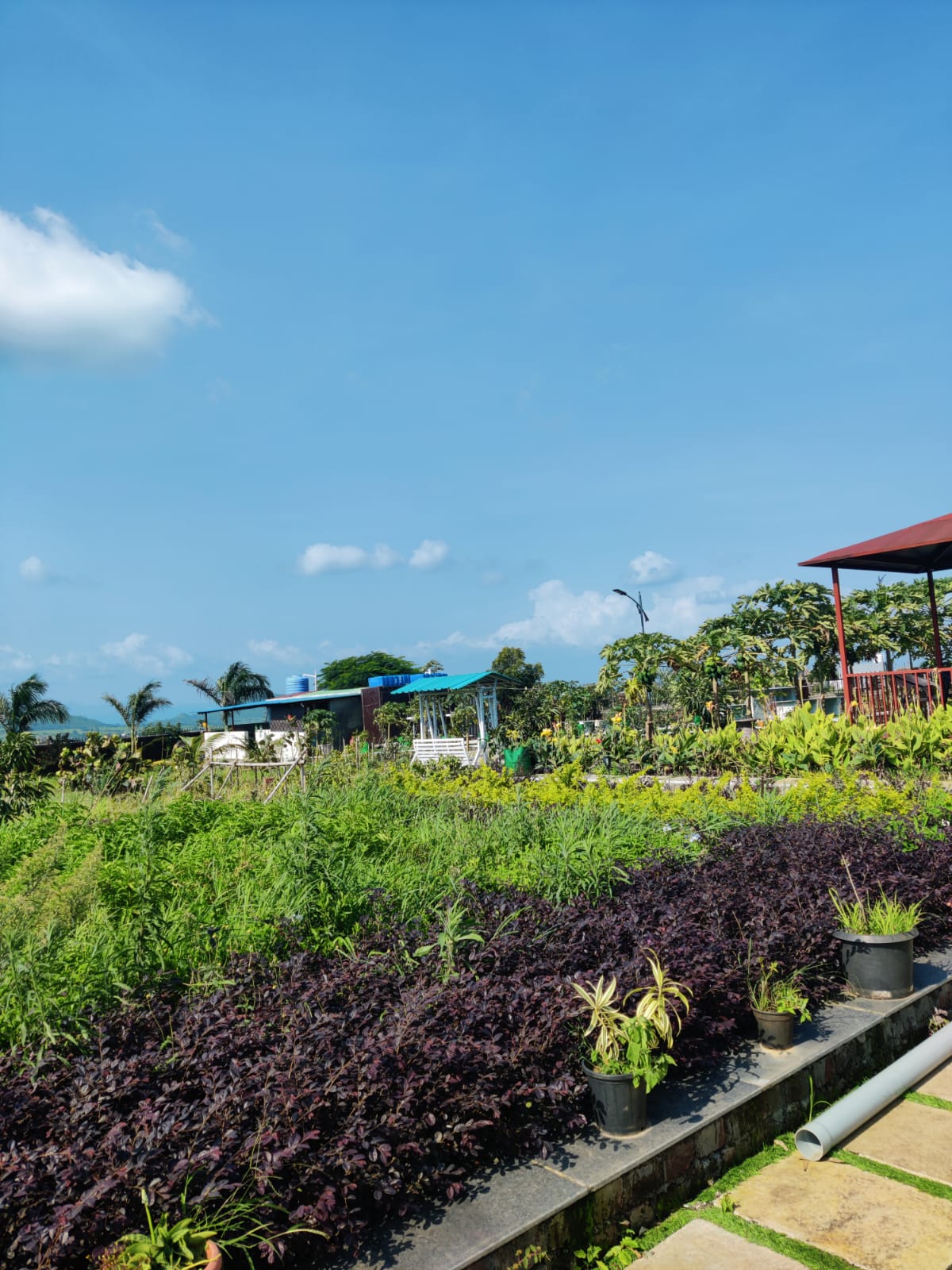 Resale 1000 Sq.Ft. Plot in Midc Satara Satara - 7902462